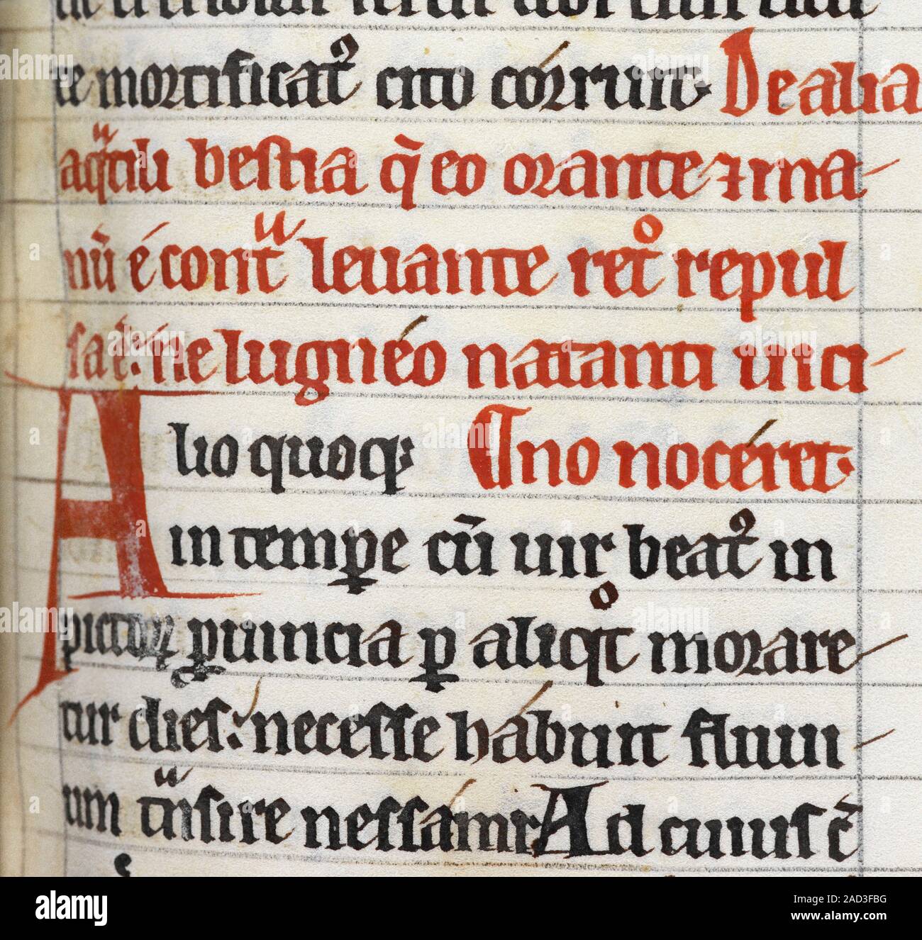 Loch Ness Monster legend. Cropped Latin text from a 12th-century ...