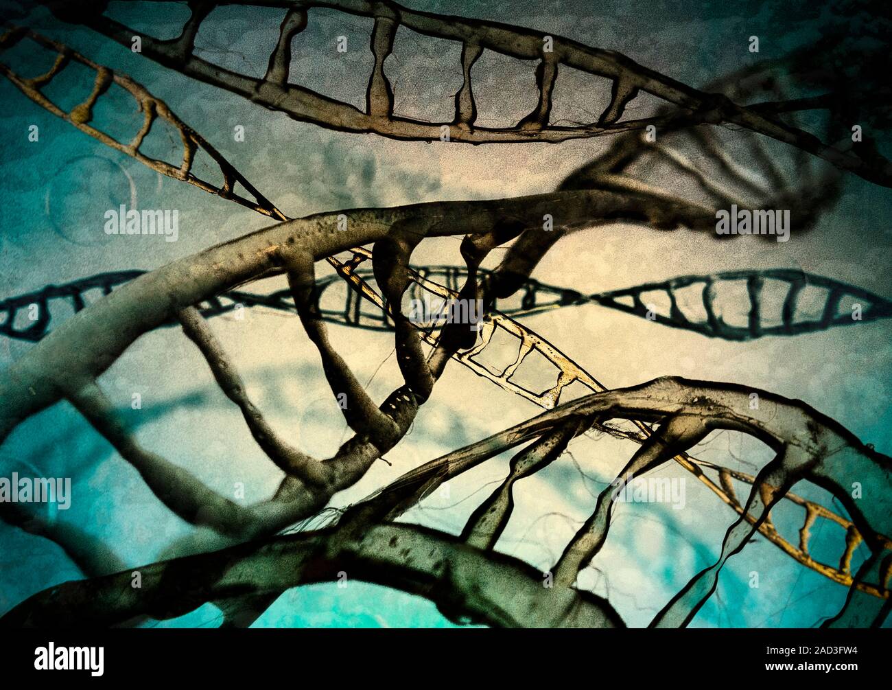DNA molecule. Computer illustration of unravelled double stranded DNA ...