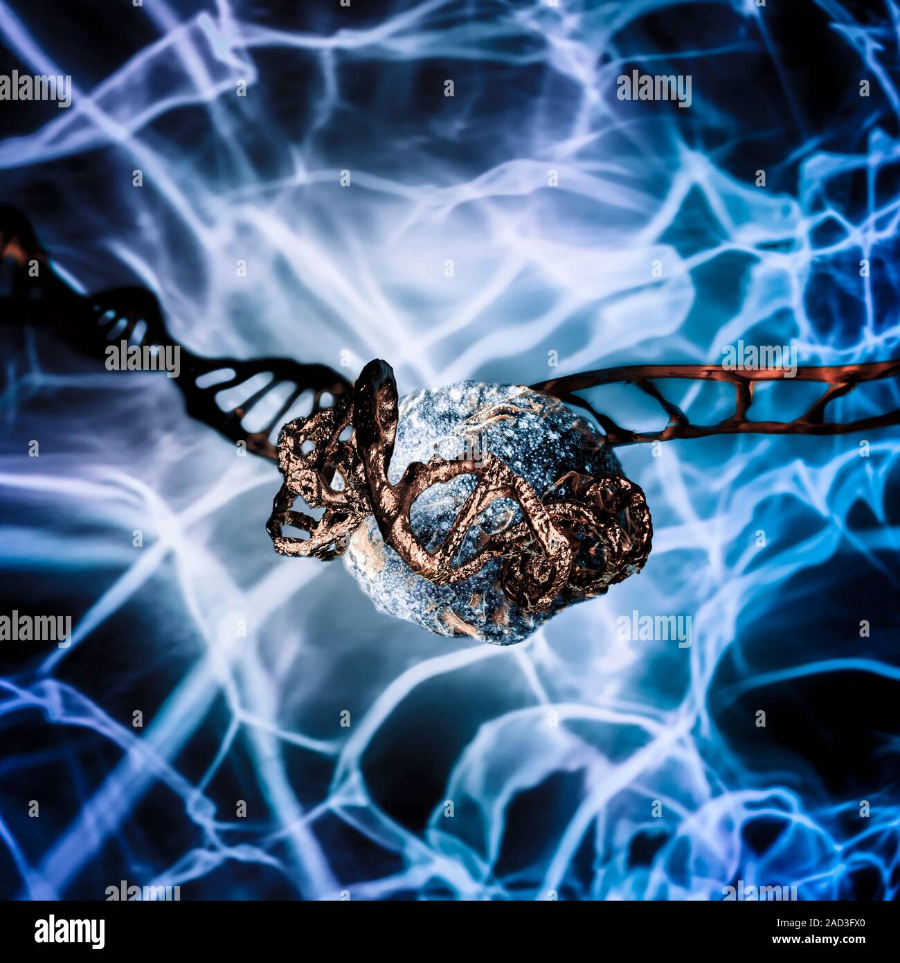 DNA histone. Computer illustration showing a DNA (deoxyribonucleic acid ...