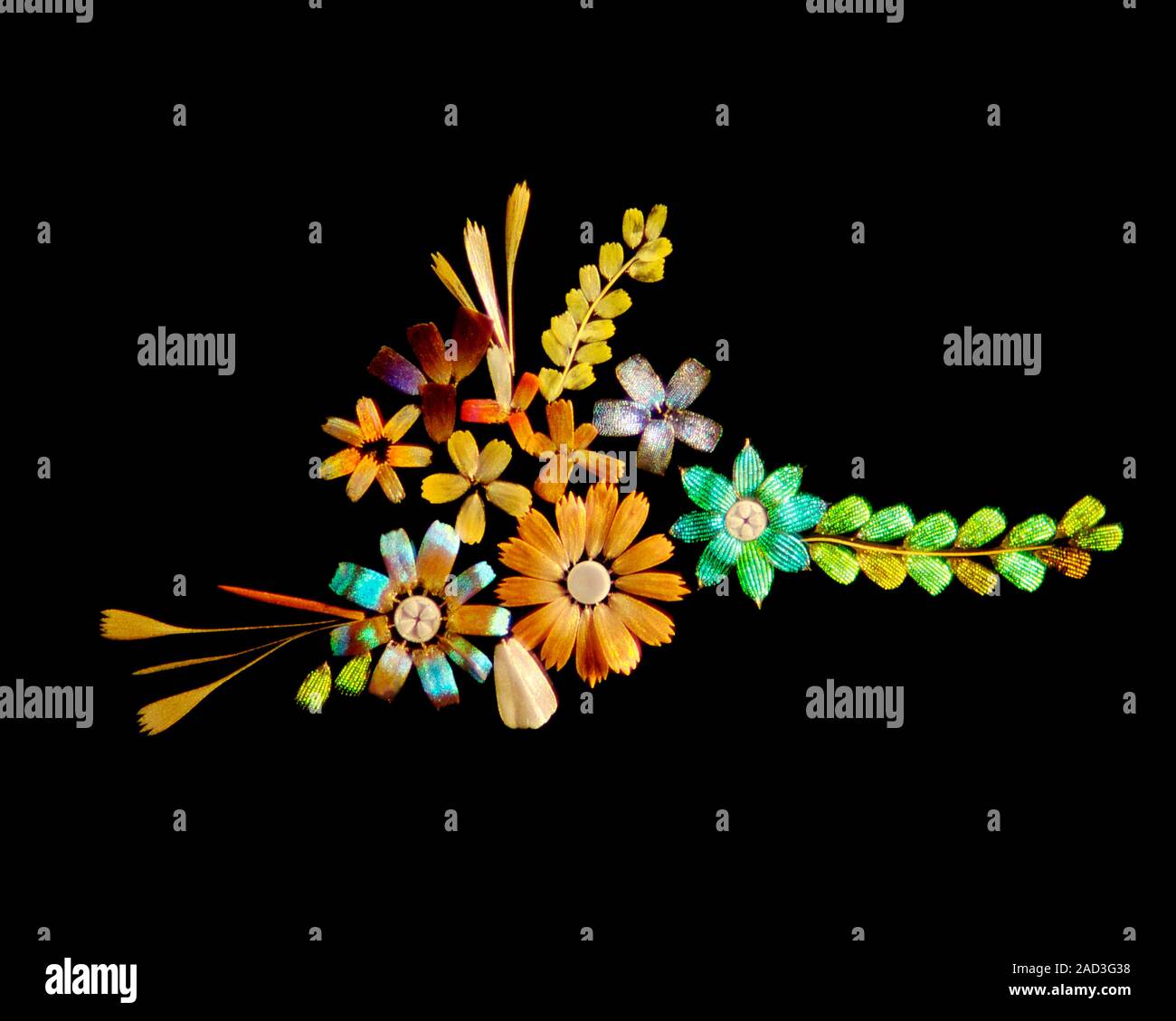 Microscopic arrangement of a bouquet of flowers created from butterfly ...