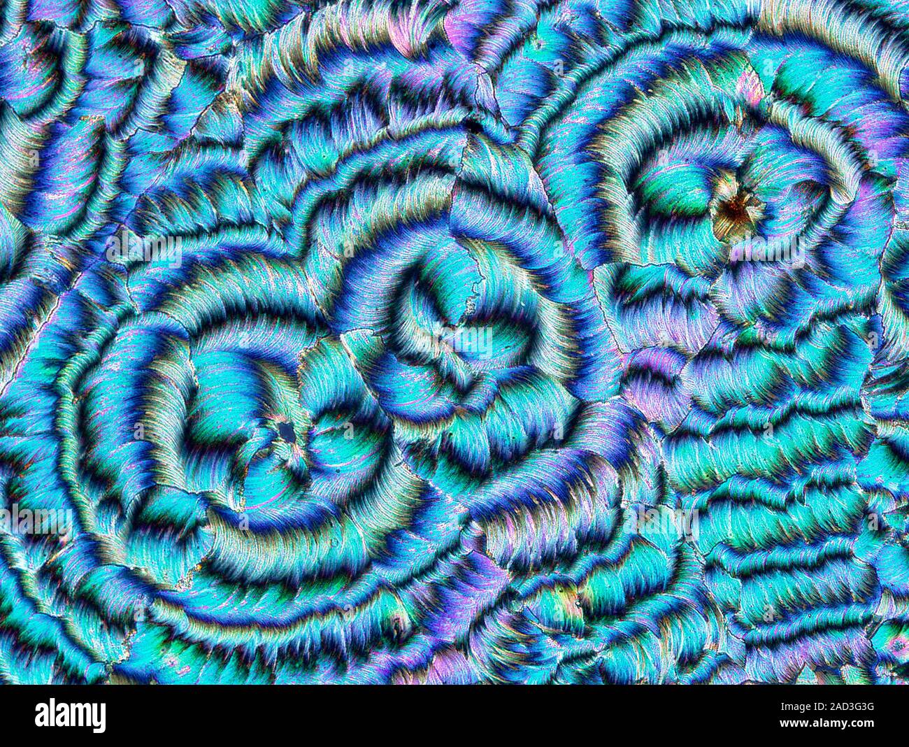 Polarised light micrograph. This chemical is derived from cinchonidine ...