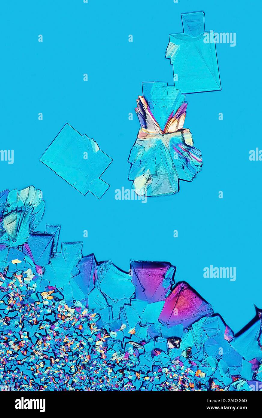 Polarised light micrograph of refined sucrose (C12H22O11). Sucrose ...