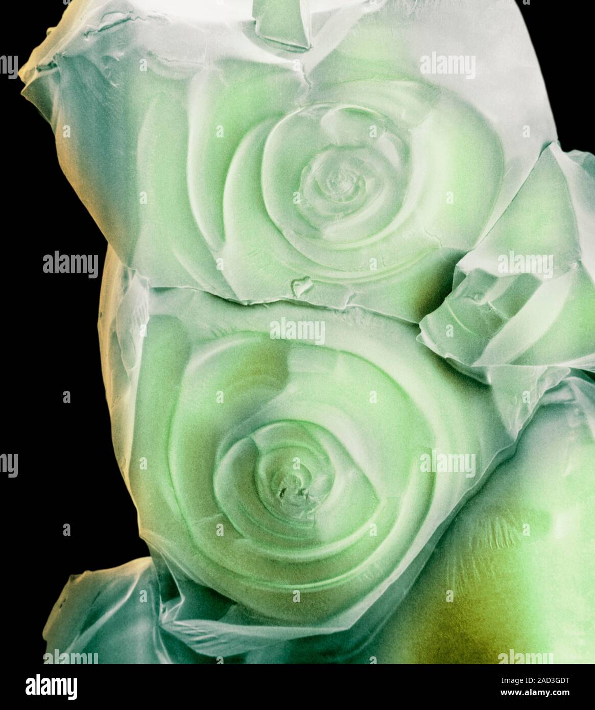 Snowflake. Coloured low-temperature scanning electron micrograph (LT ...