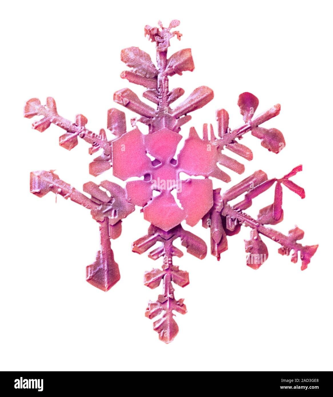 Snowflake. Coloured low-temperature scanning electron micrograph (LT ...