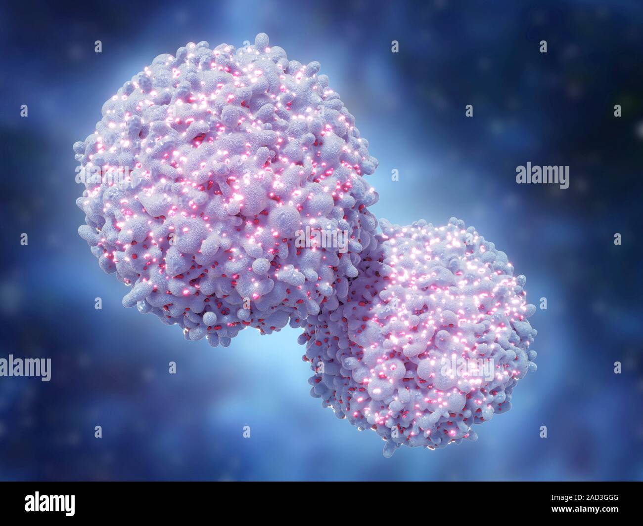 Computer illustration of HIV particles (red) infecting T-lymphocyte ...