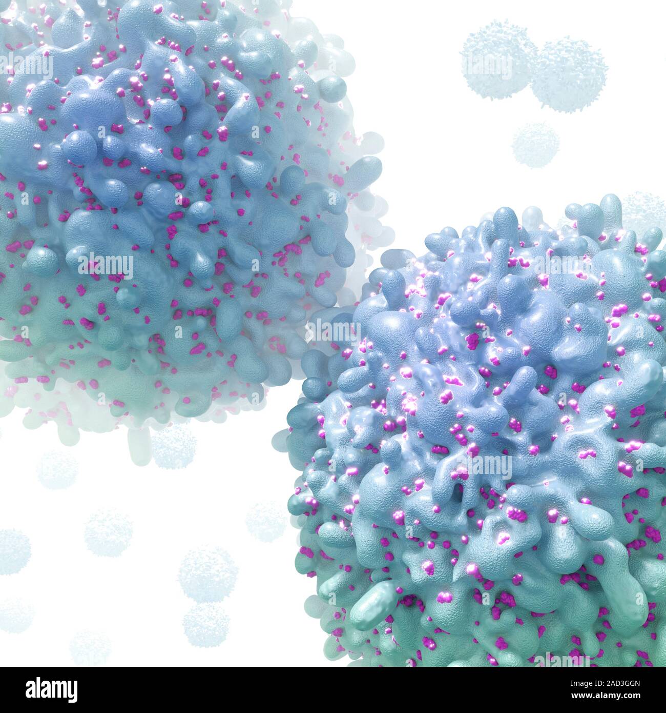 Computer illustration of HIV particles (purple) infecting T-lymphocyte ...