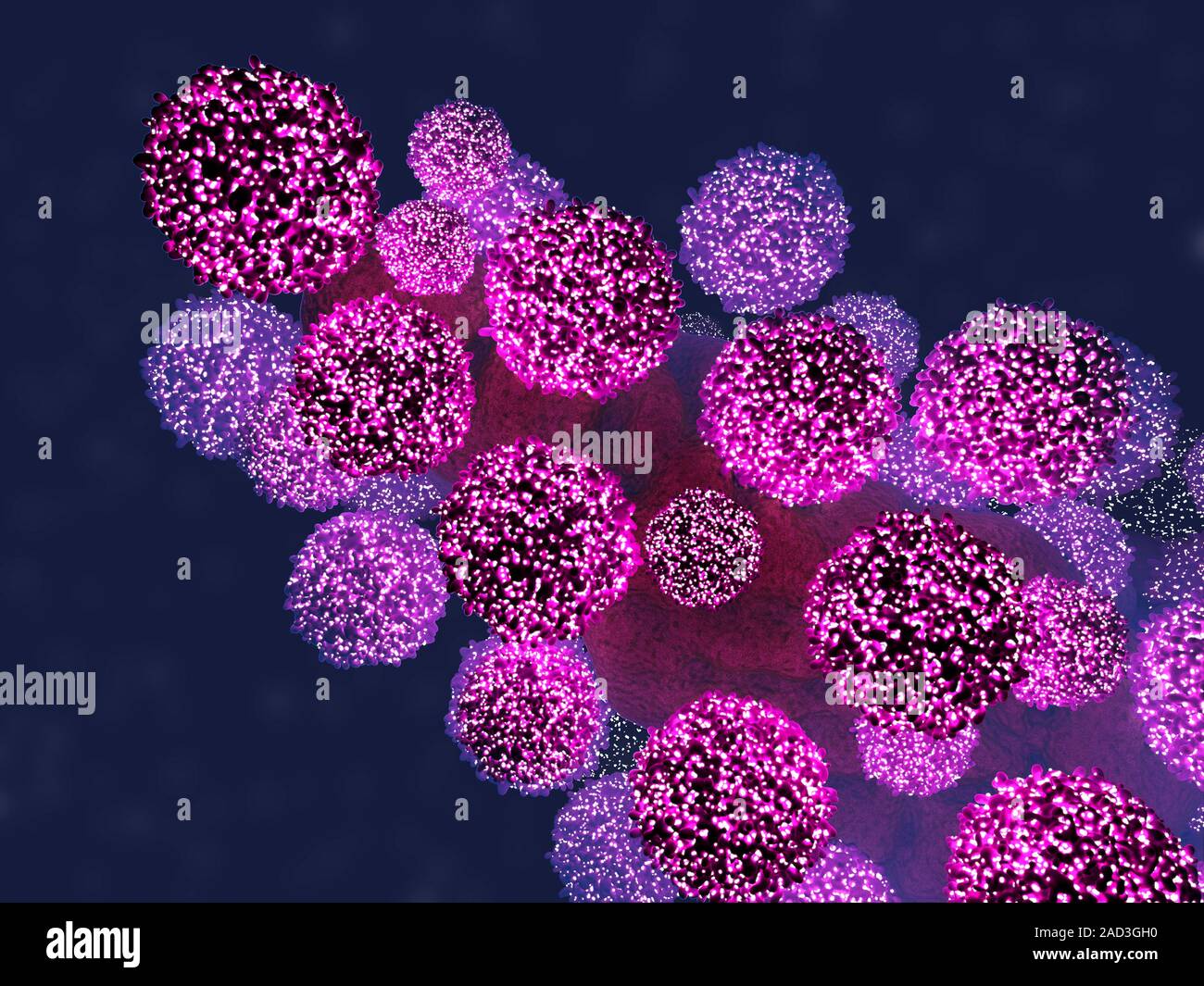 Computer illustration of HIV particles (bright) infecting T-lymphocyte ...
