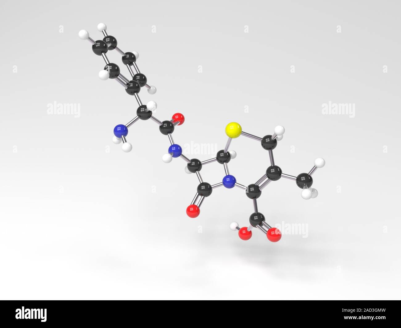 Cefalexin molecule. Computer artwork showing the molecular structure of ...