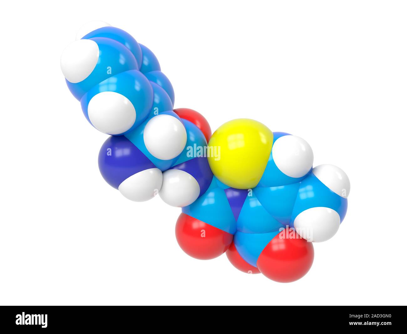 Cefalexin molecule. Computer artwork showing the molecular structure of ...