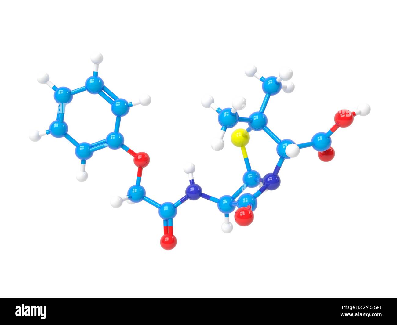 Penicillin V molecule. Computer artwork showing the molecular structure ...