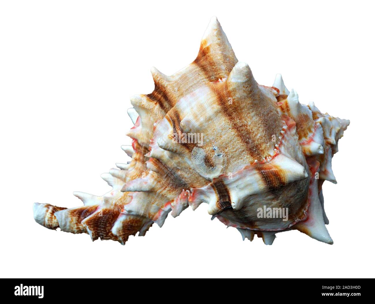 Helical stripes hi-res stock photography and images - Alamy