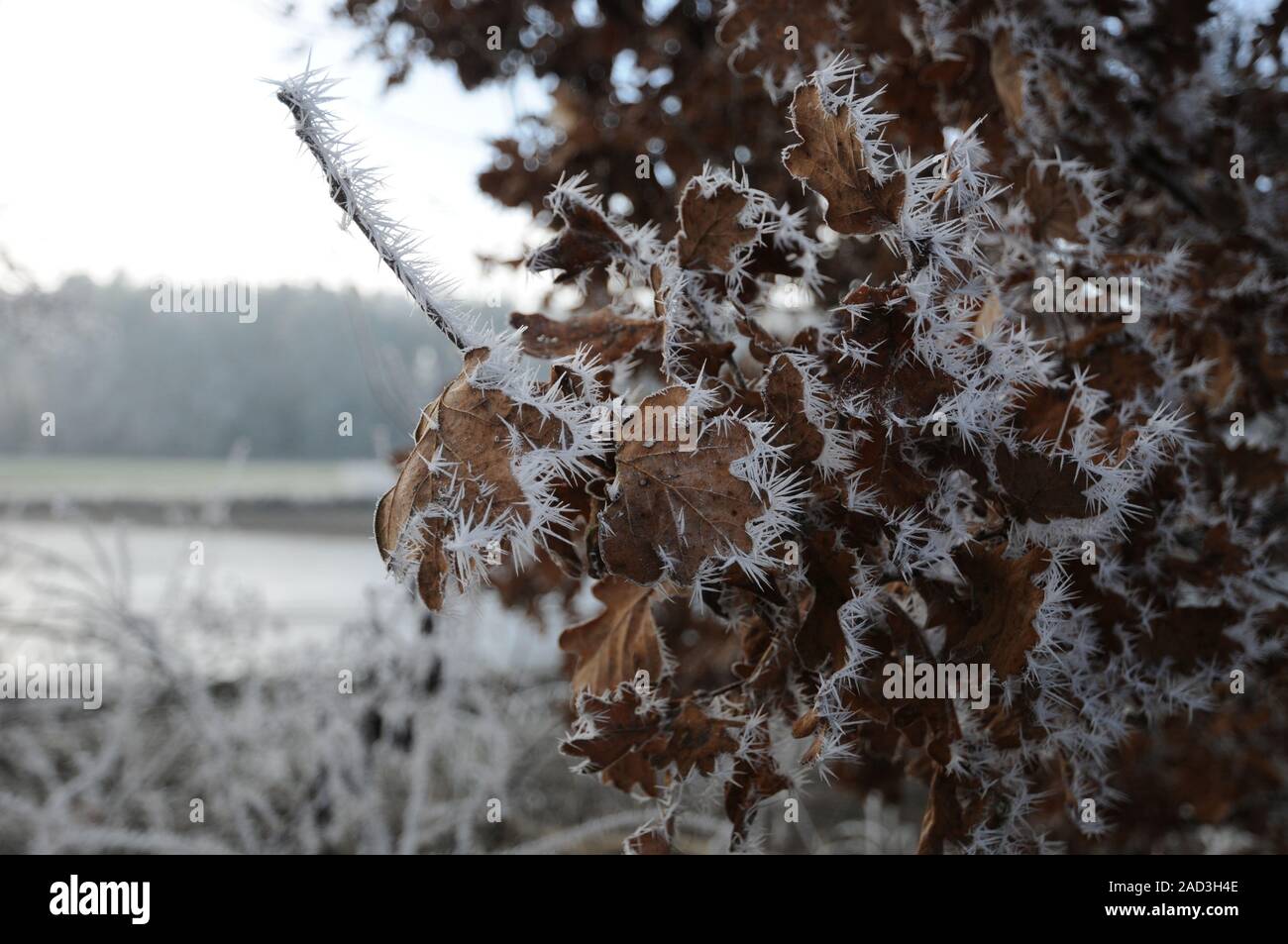 Ice fog hi-res stock photography and images - Alamy