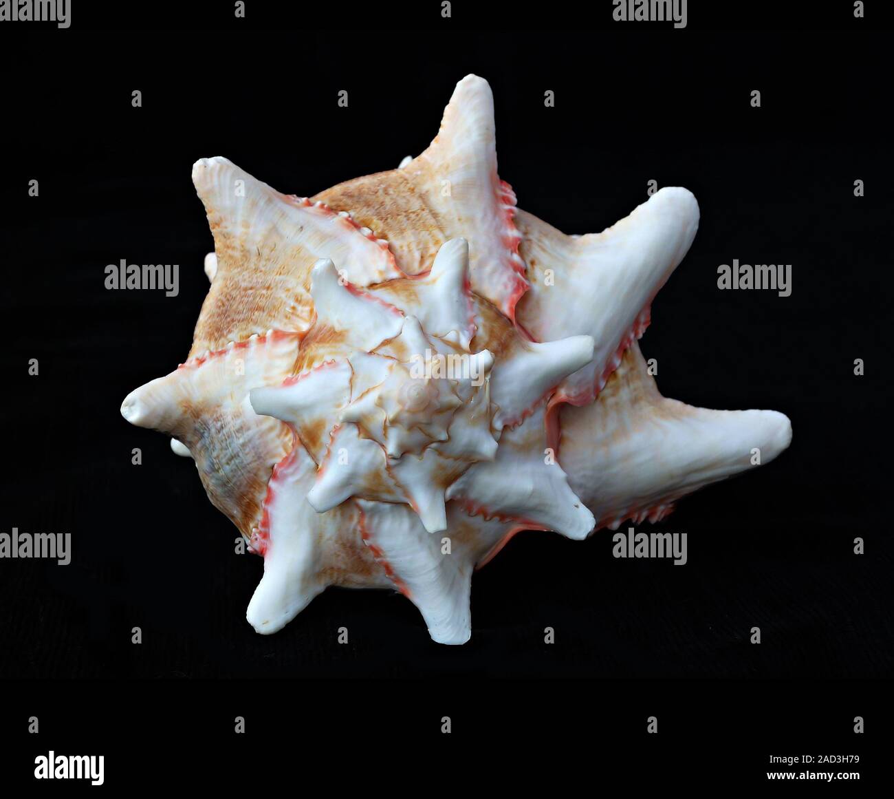 Helical stripes hi-res stock photography and images - Alamy