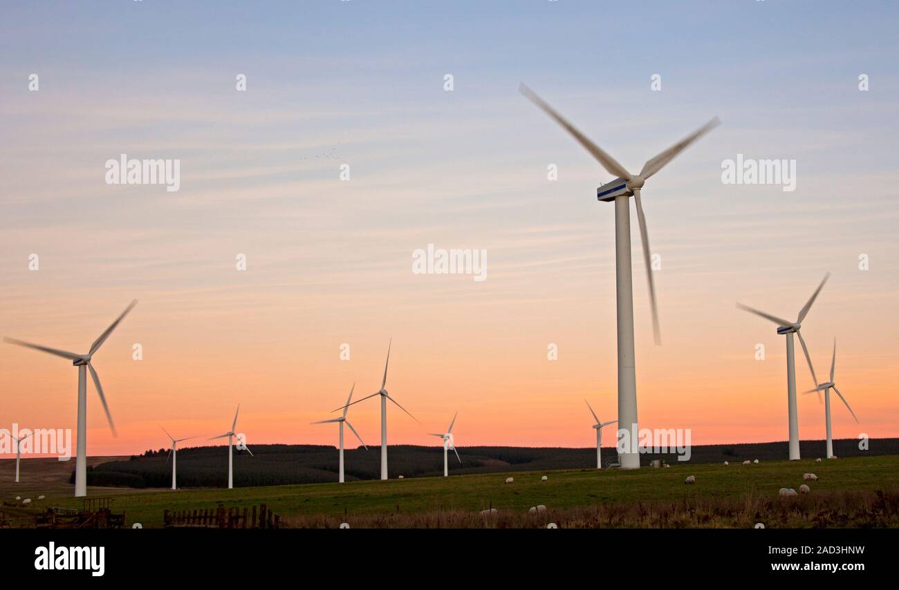 Dunlaw wind farm, Soutra Hill, Scotland, UK. 3rd December 2019. Cool ...