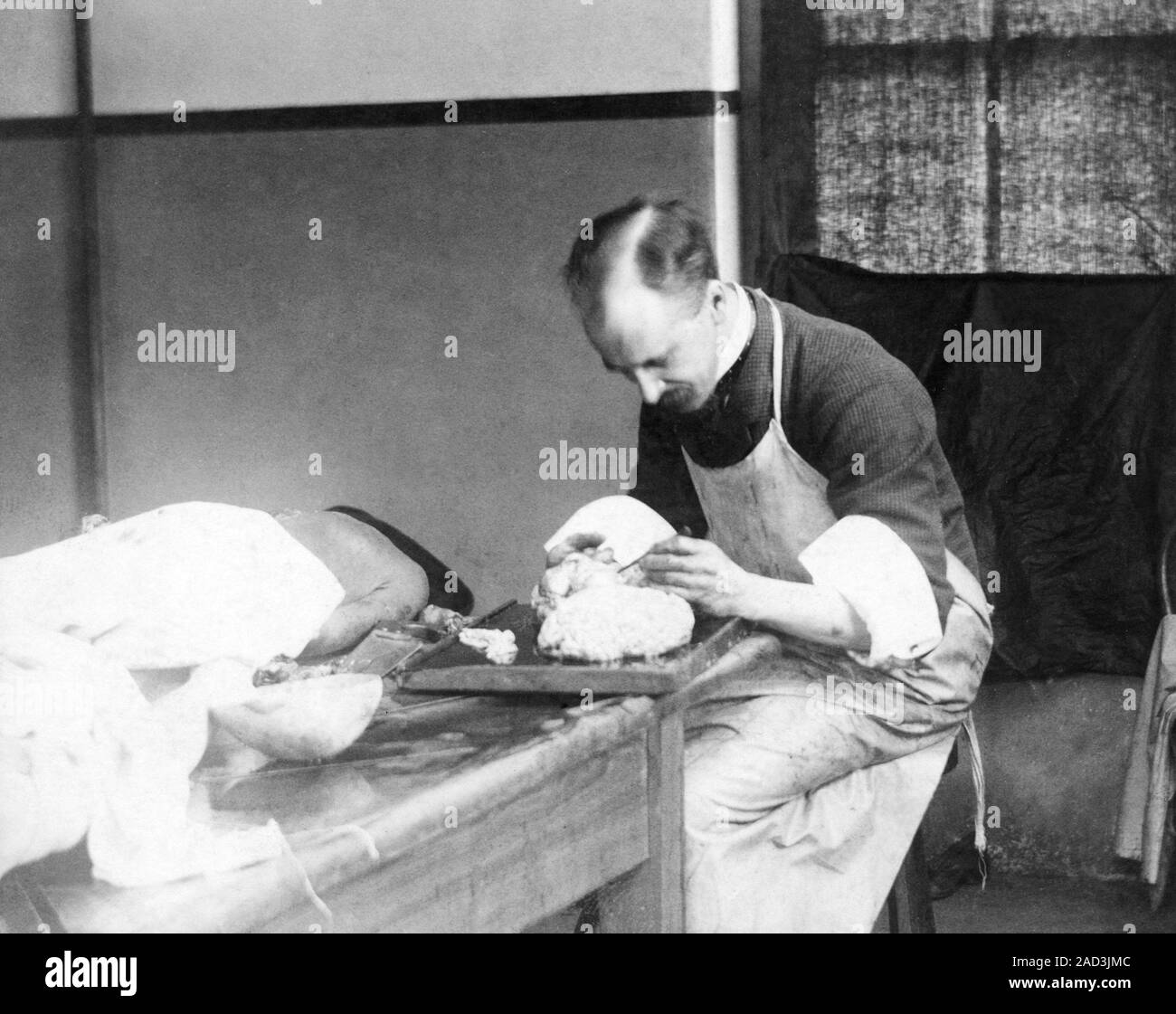 William Osler as a pathologist, 1880s. Canadian physician William Osler ...