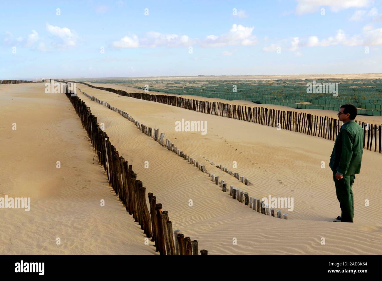 Desertification prevention. Man standing by a plantation (upper right ...