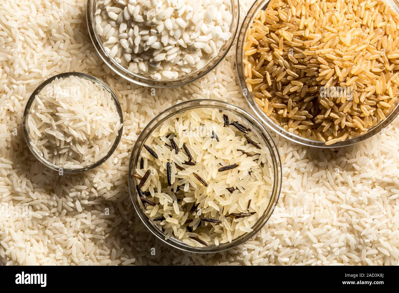 Assorted rice. Rice is the seed of Oryza sp. plants. It is a staple ...