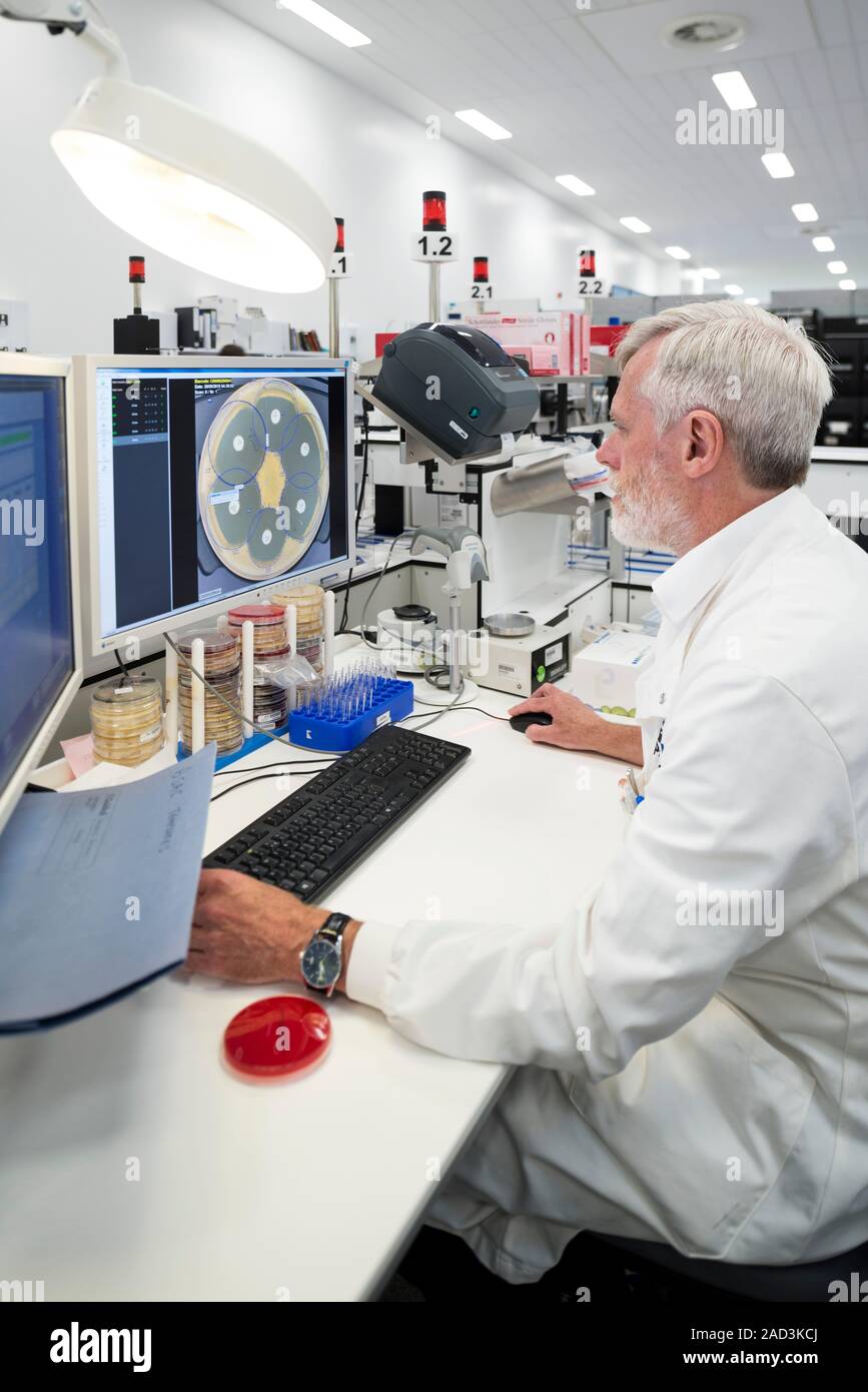 Hospital pathology lab. Microbiologist using a KIESTRA automated ...