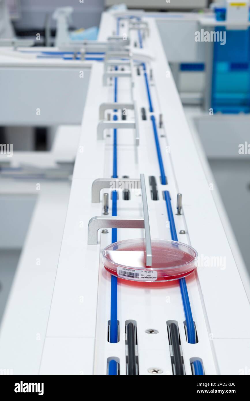 KIESTRA automated screening machine. Close-up of a KIESTRA automated ...