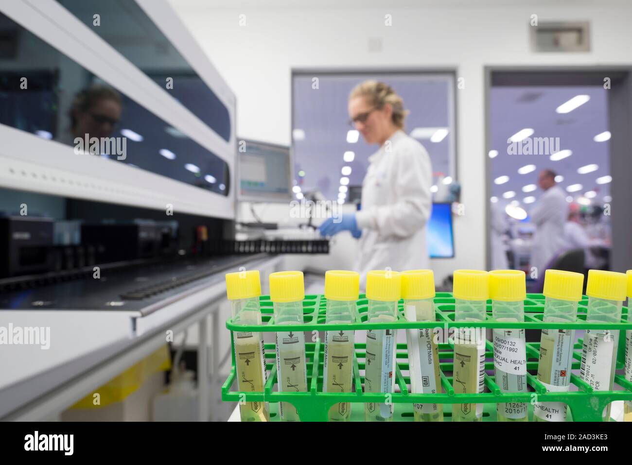 Chlamydia testing. Microbiologist preparing a Cobas PCR Preperator to ...