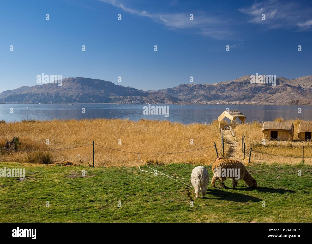 Lake Titicaca (Titikaka Stock Photo - Alamy
