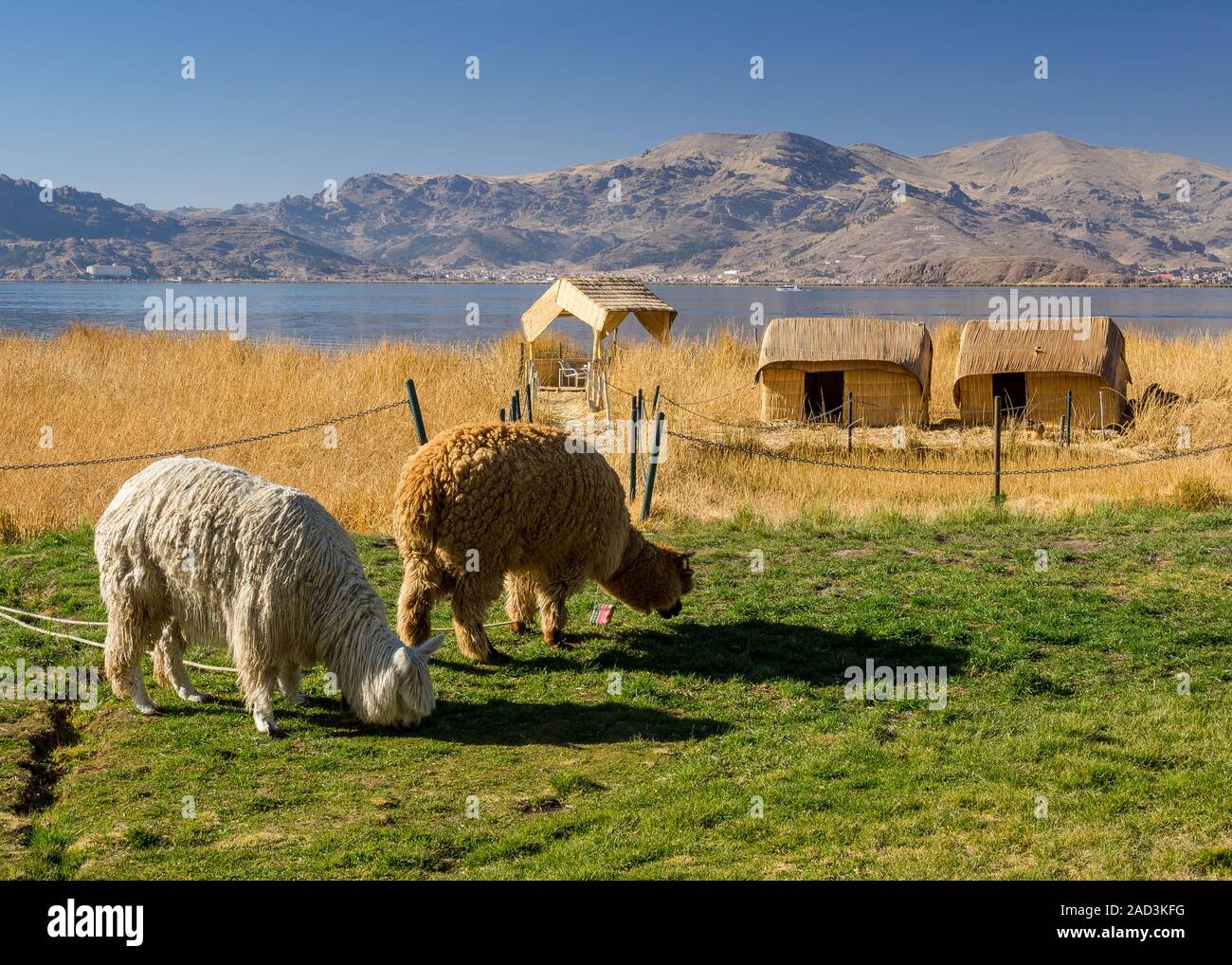 Lake Titicaca (Titikaka Stock Photo - Alamy
