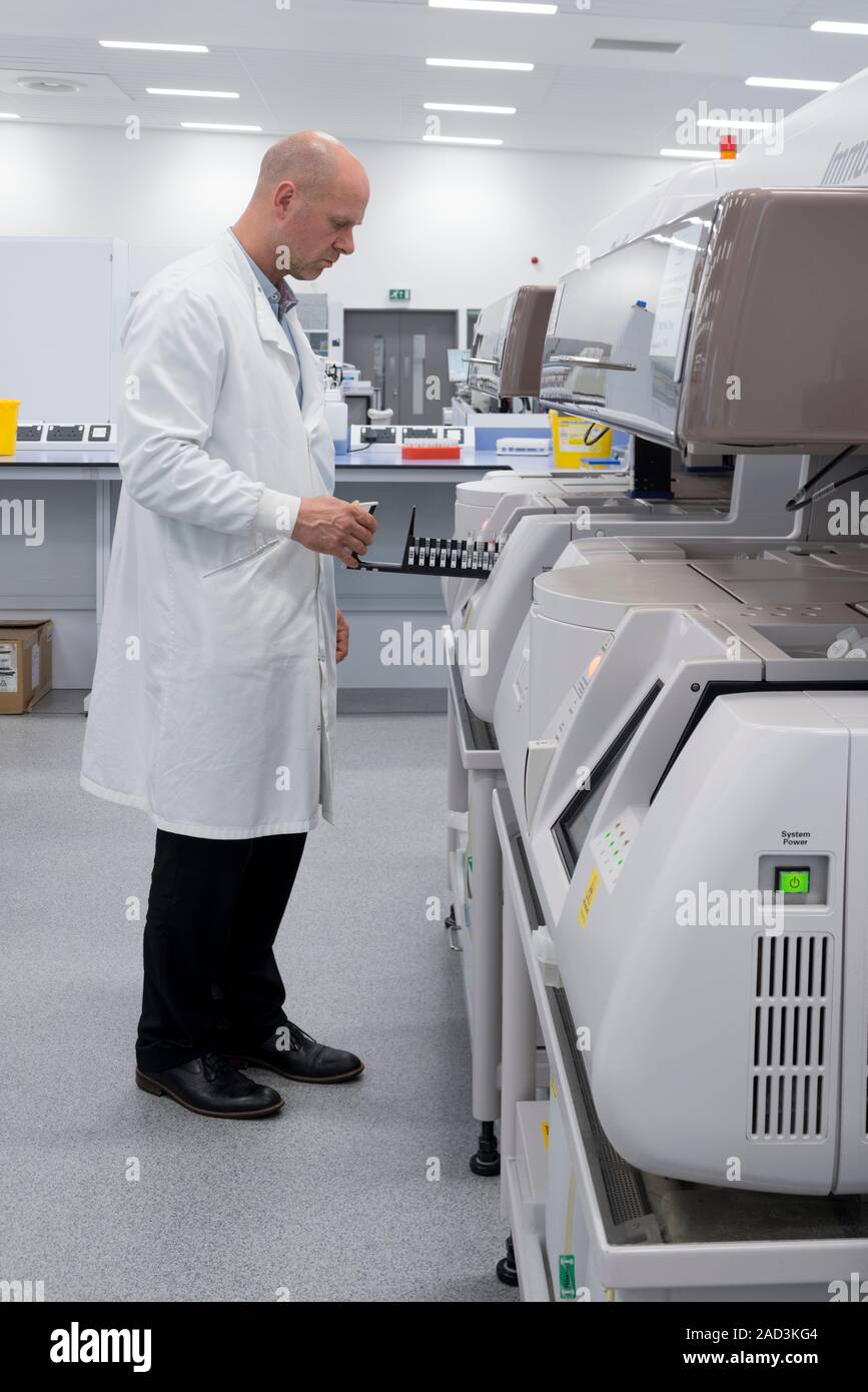 Immunology testing in pathology lab. Scientist carrying out autoimmune ...