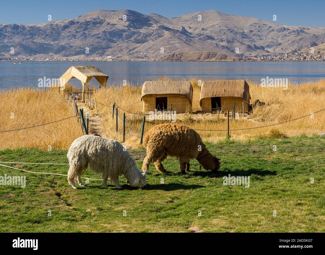 Lake Titicaca (Titikaka Stock Photo - Alamy