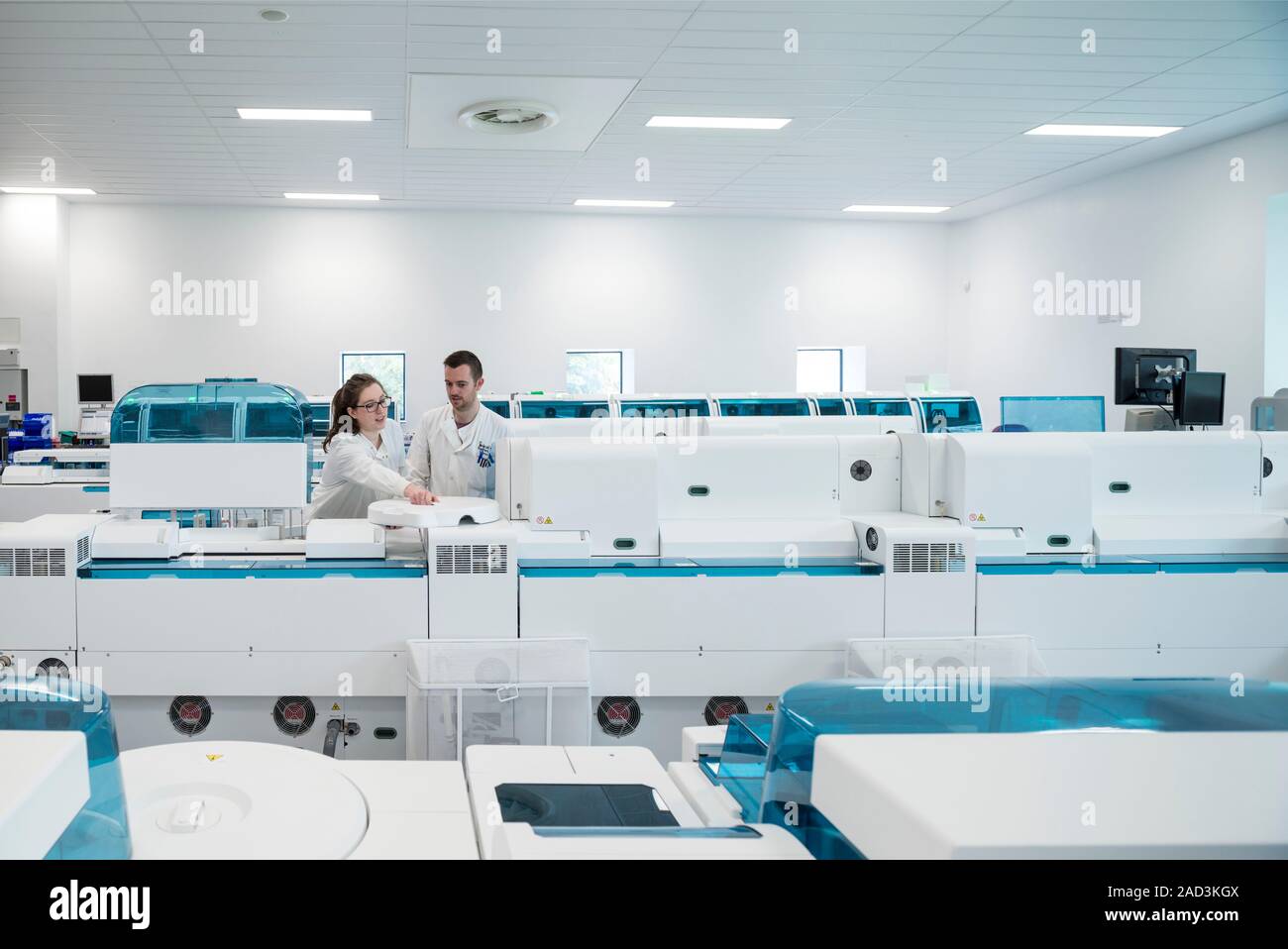 Pathology laboratory. Microbiologists using cobas testing to test urine ...
