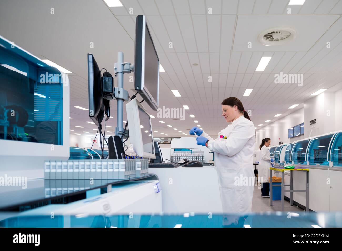 Haematology laboratory. Haematologists testing blood samples in the ...