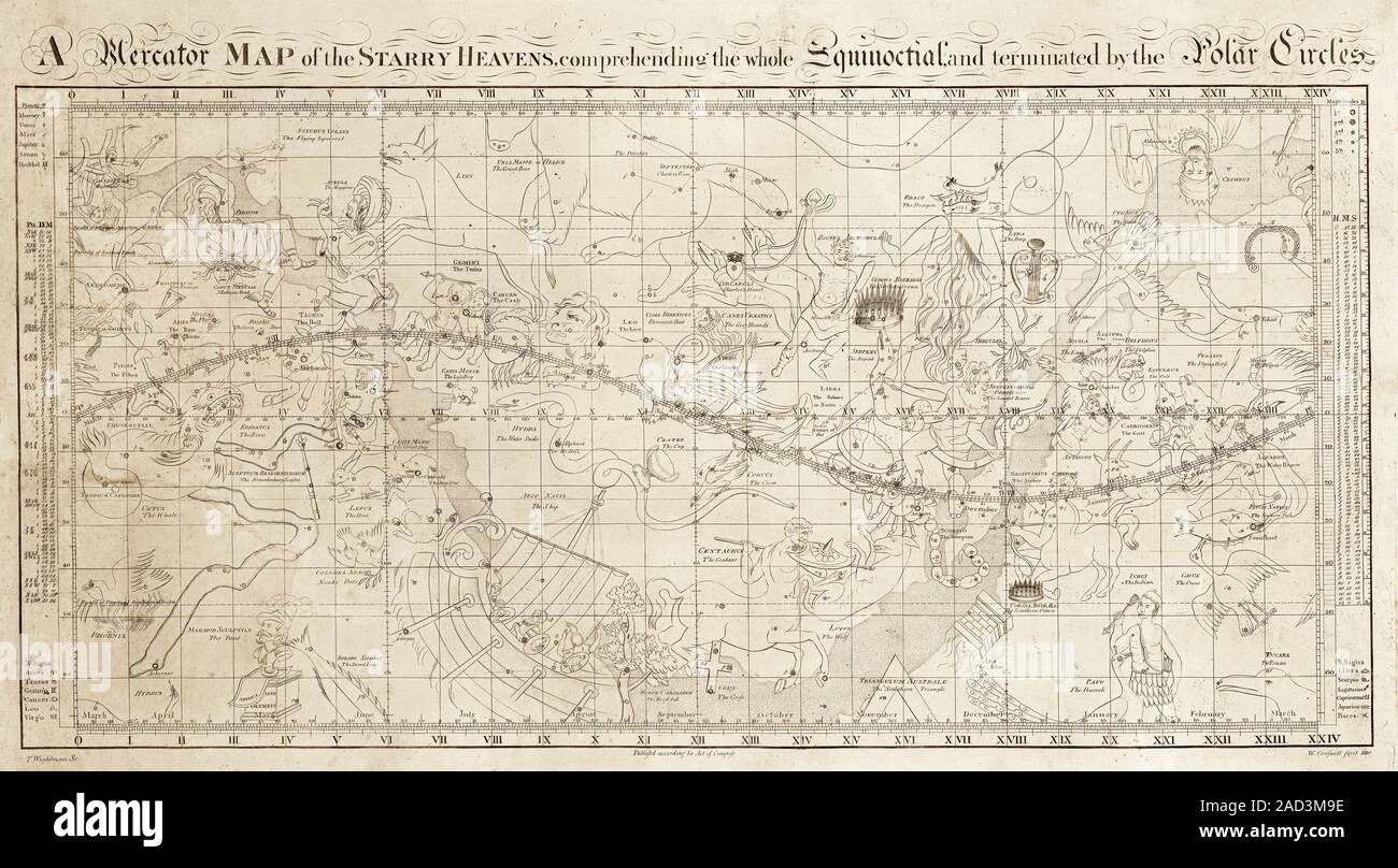 Celestial map of the heavens. 19th-century Mercator (cylindrical ...
