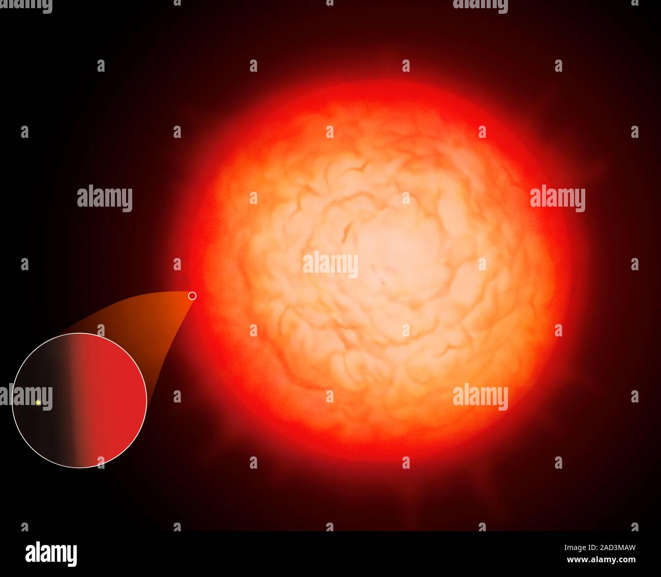 Artwork of largest star UV Scuti compared to Sun. UY Scuti is located ...