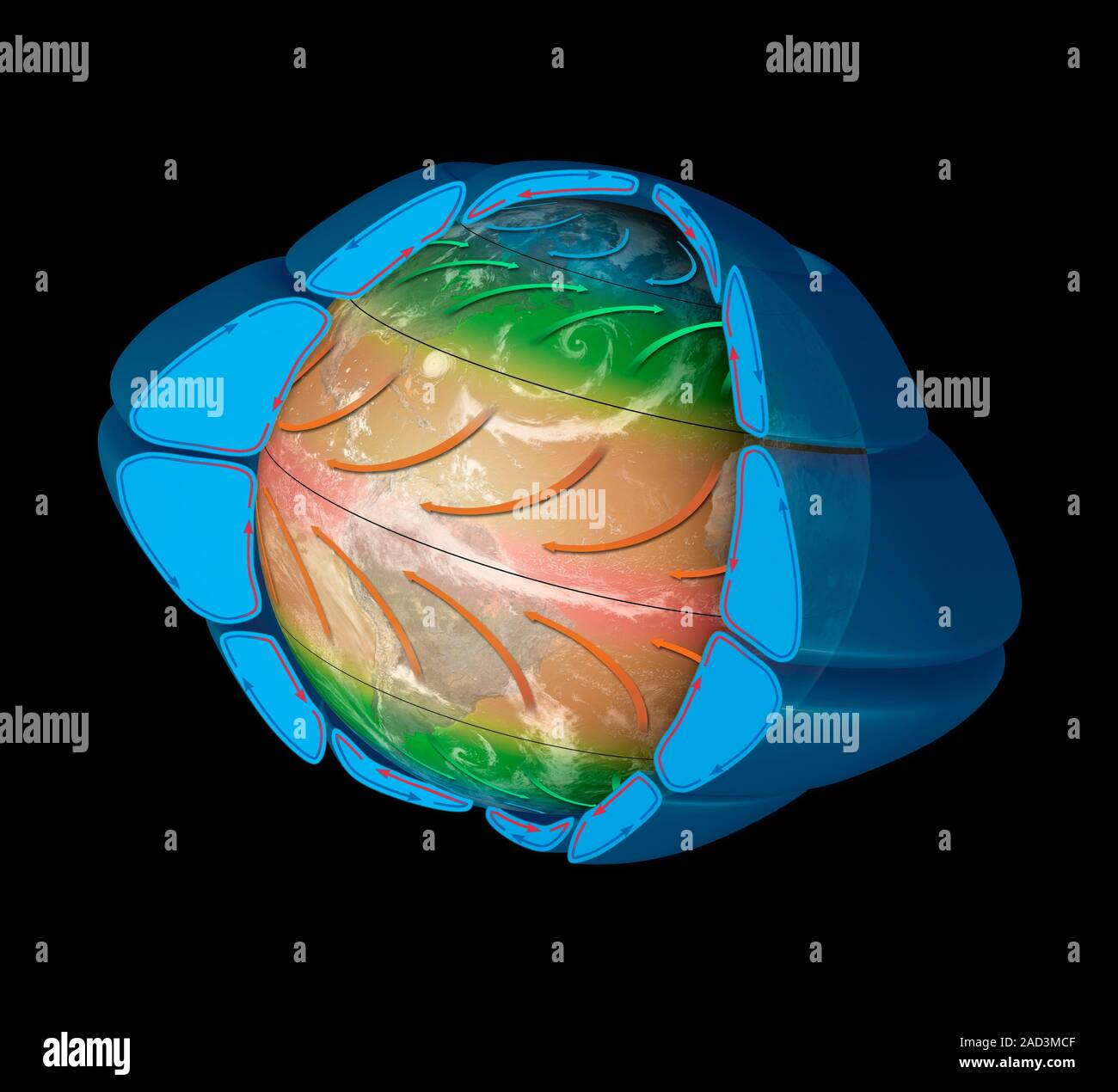 Global air circulation. Artwork of the Earth illustrating the three ...