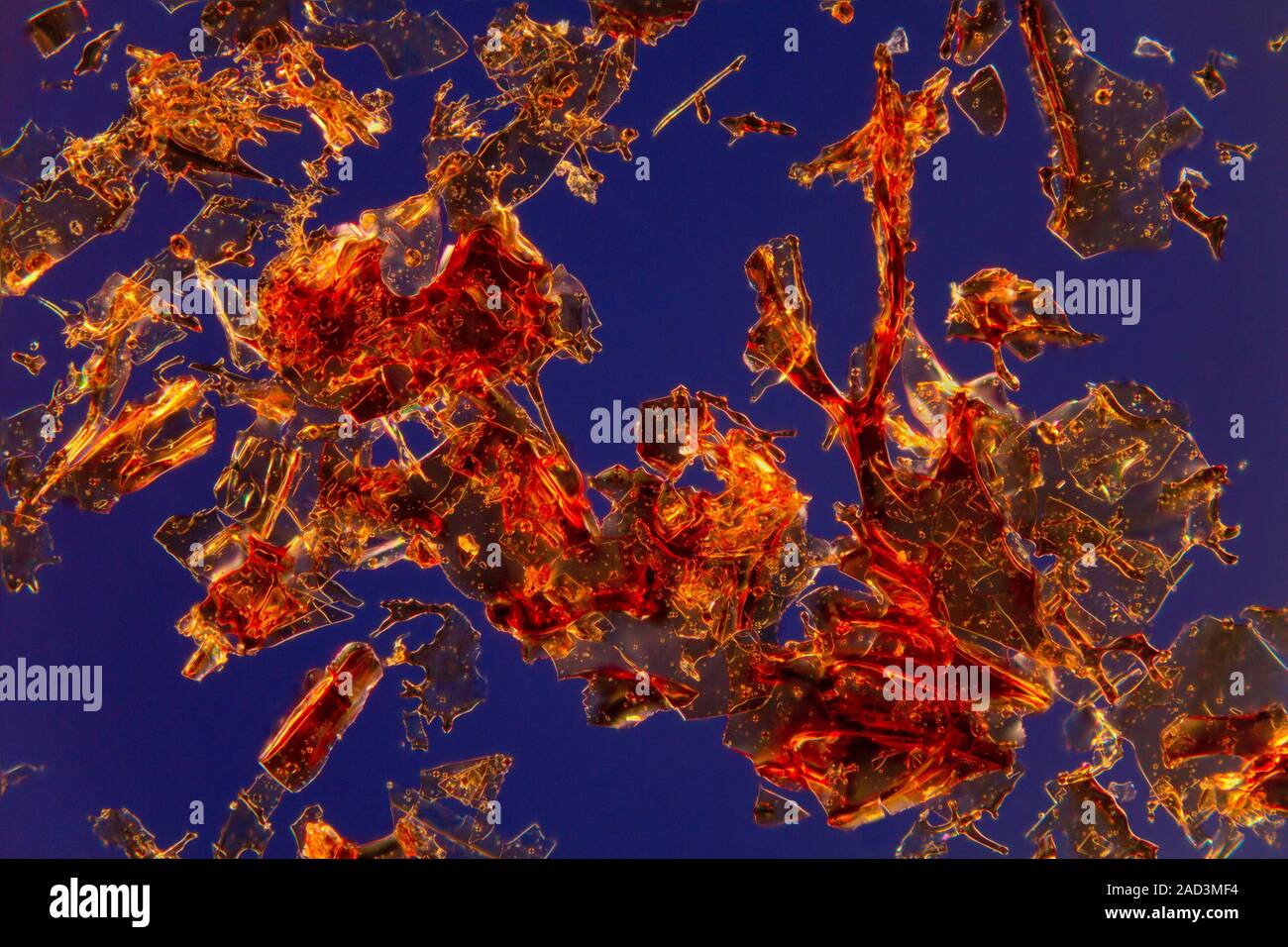 Haemoglobin crystals. Polarized light micrograph of freeze-dried ...