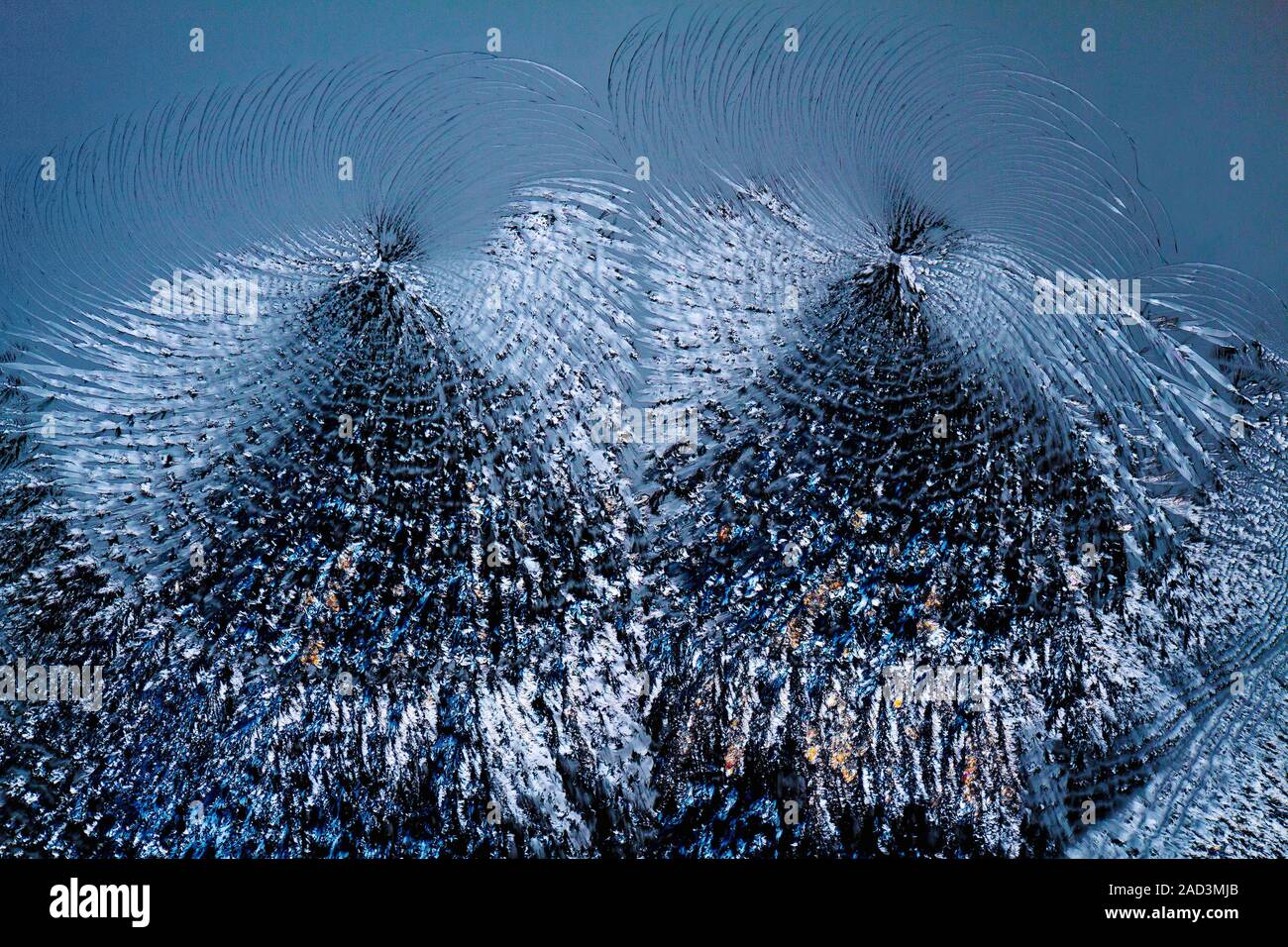 Lactose crystals. Polarized light micrograph of crystals of lactose ...