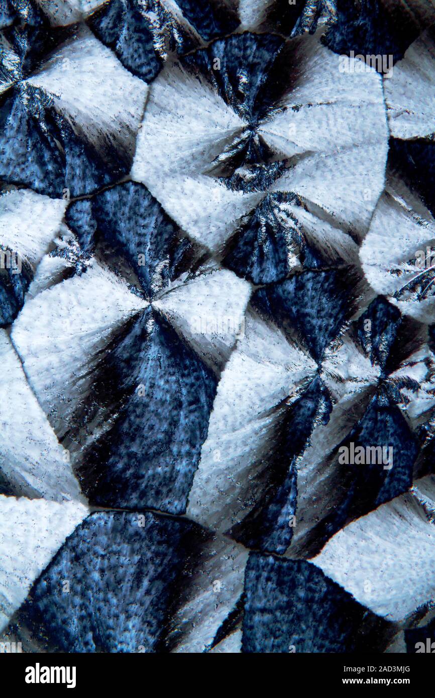 Lactose crystals. Polarized light micrograph of crystals of lactose ...