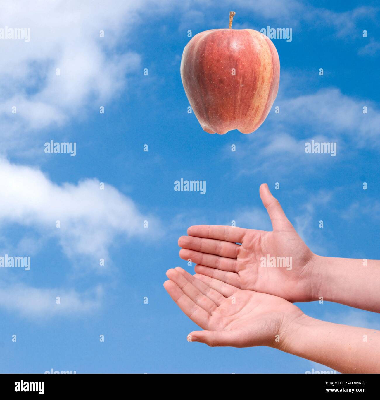 Apple falling to hands on sky background Stock Photo - Alamy