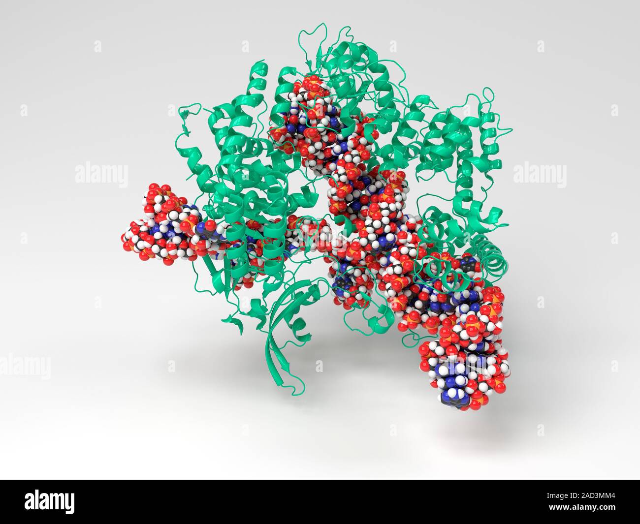 CRISPR-Cas9 gene editing complex. Computer illustration showing the ...