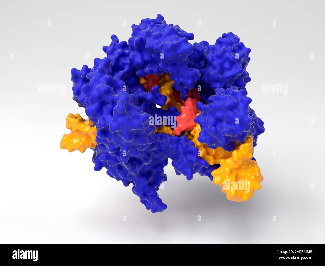 CRISPR-Cas9 gene editing complex. Computer illustration showing the ...