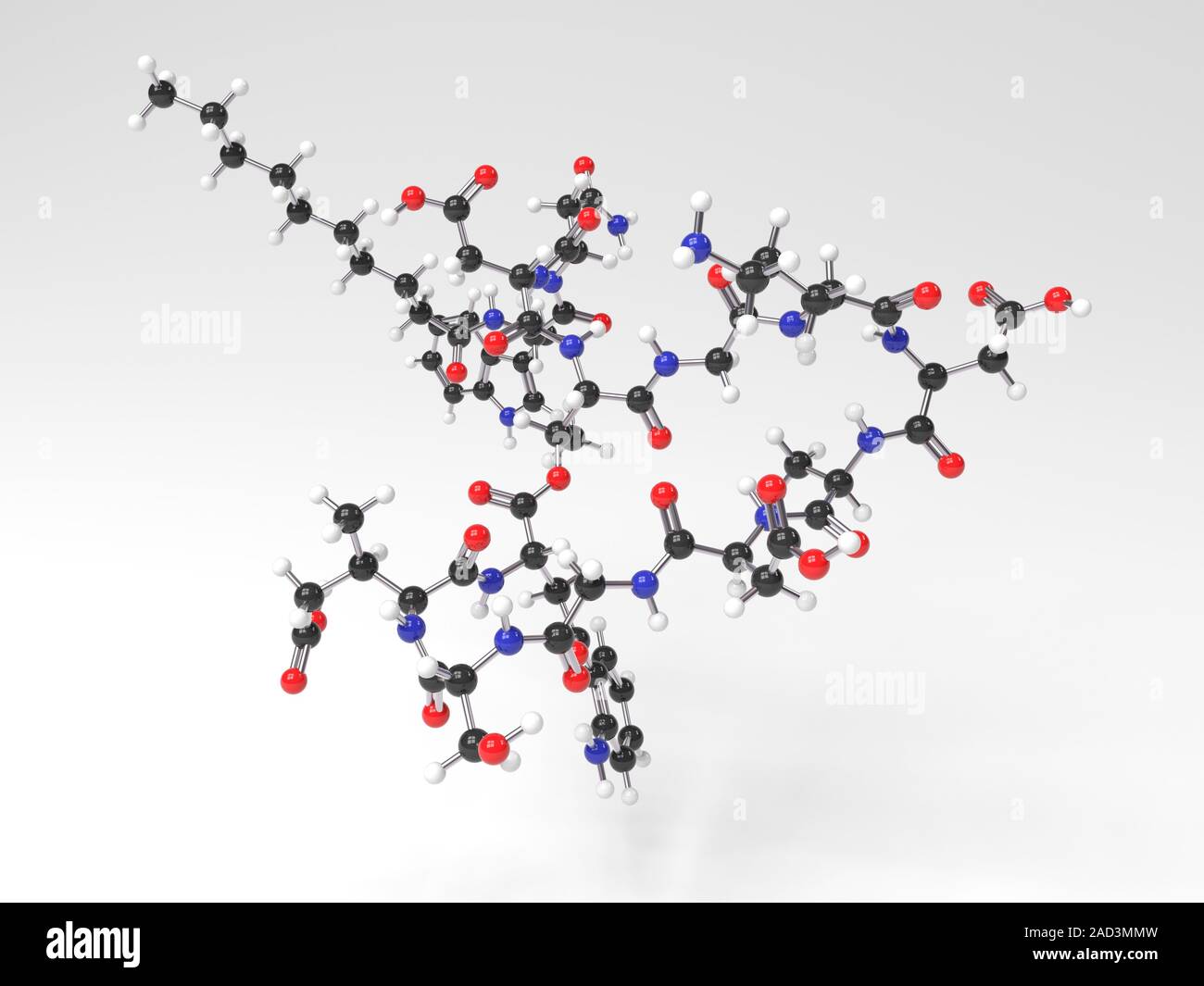 Daptomycin molecule. Computer illustration showing the molecular ...