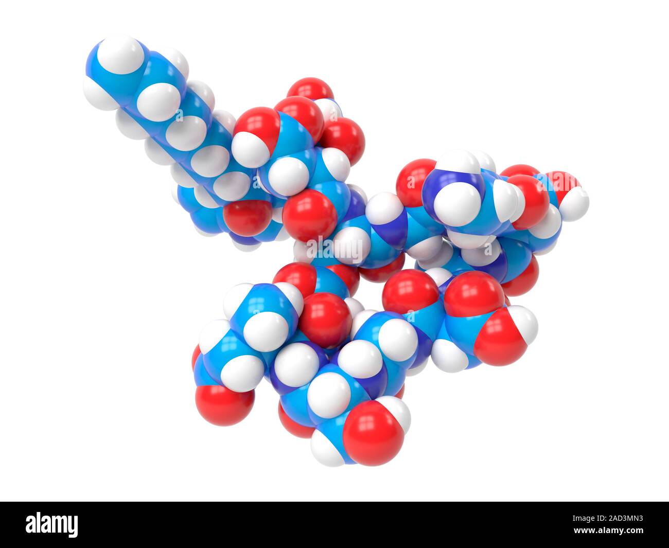 Daptomycin molecule. Computer illustration showing the molecular ...