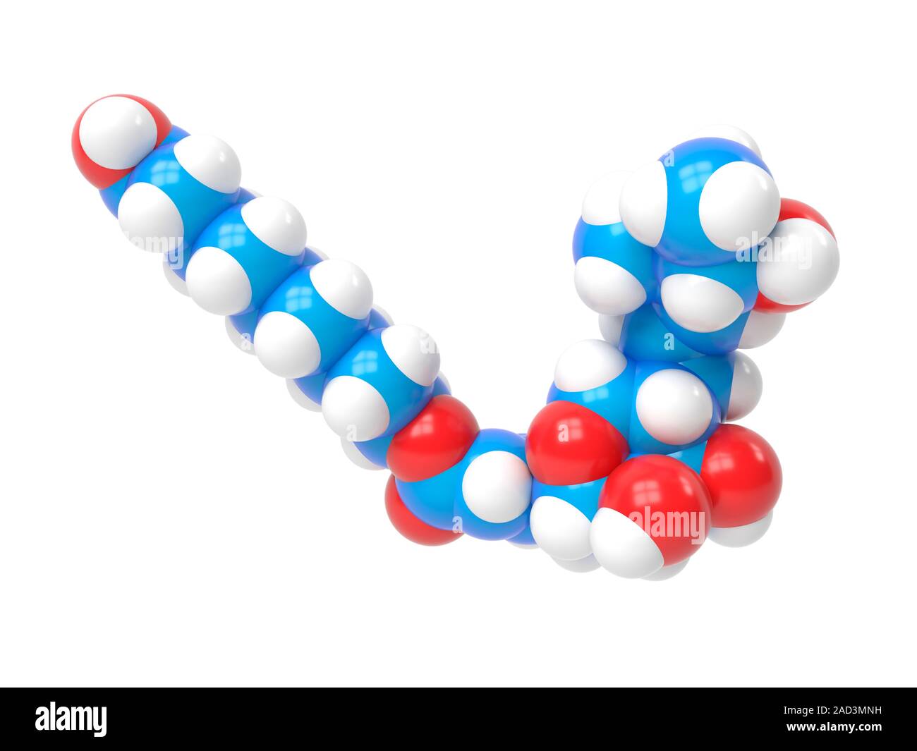 Mupirocin molecule. Computer illustration showing the molecular ...