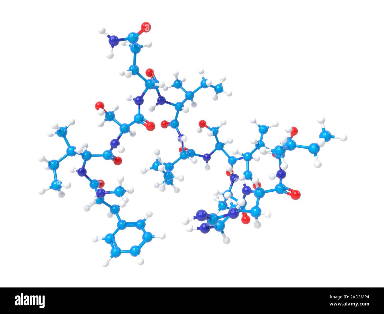 Teixobactin molecule. Computer illustration showing the molecular ...