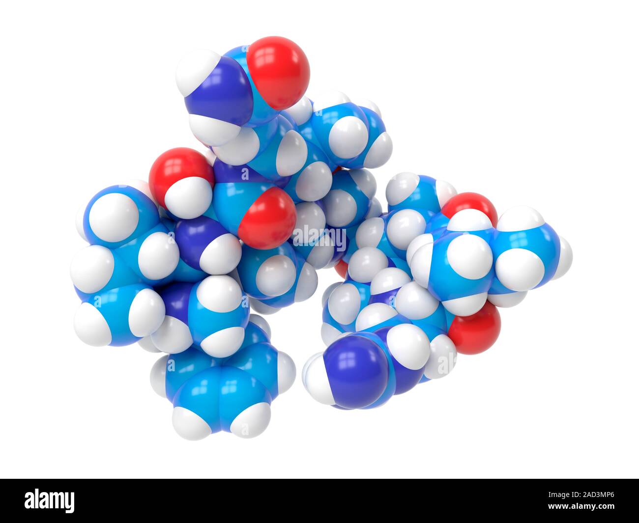 Teixobactin molecule. Computer illustration showing the molecular ...