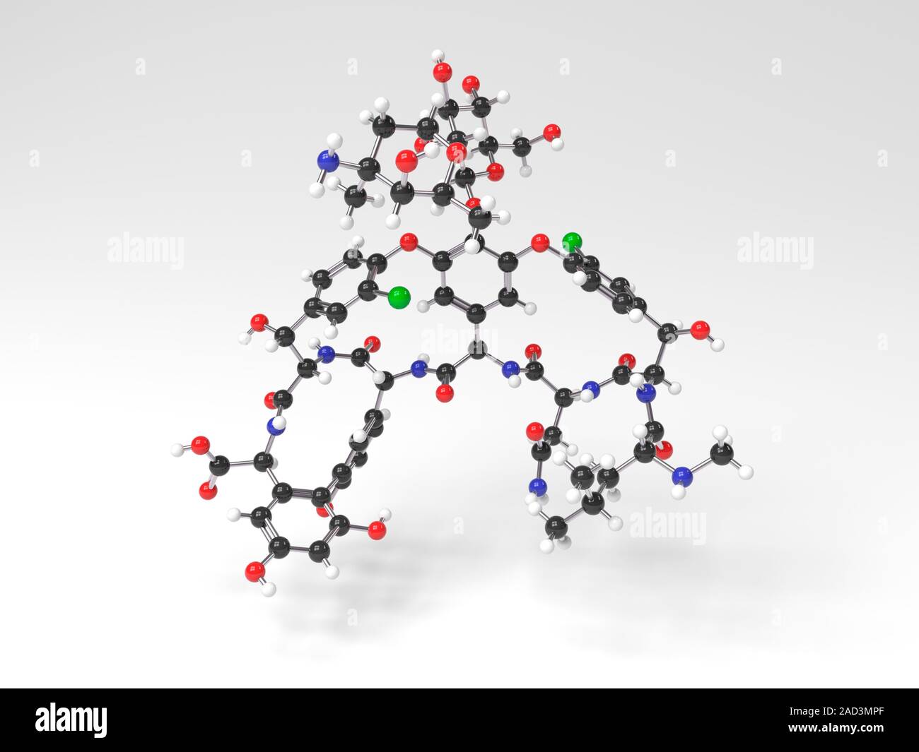 Vancomycin molecule. Computer illustration showing the molecular ...