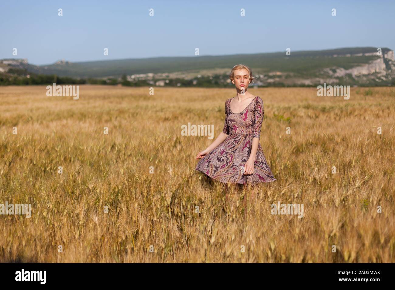 Beautiful fashionable blonde woman in a field of wheat Stock Photo - Alamy