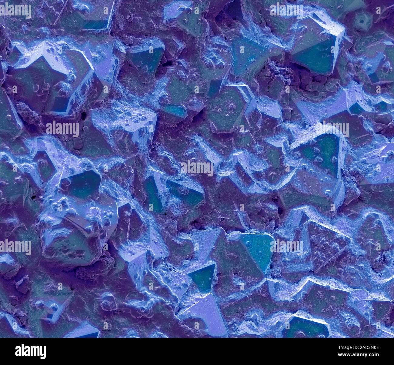 Magnetite. Coloured scanning electron micrograph (SEM) of magnetite ...