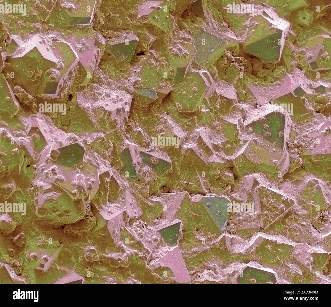 Magnetite. Coloured scanning electron micrograph (SEM) of magnetite ...