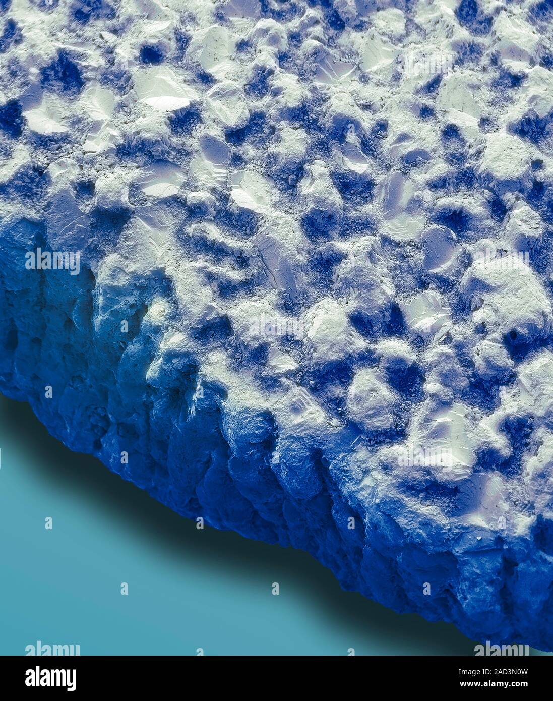 Fossil Dinosaur eggshell. Coloured scanning electron micrograph (SEM ...