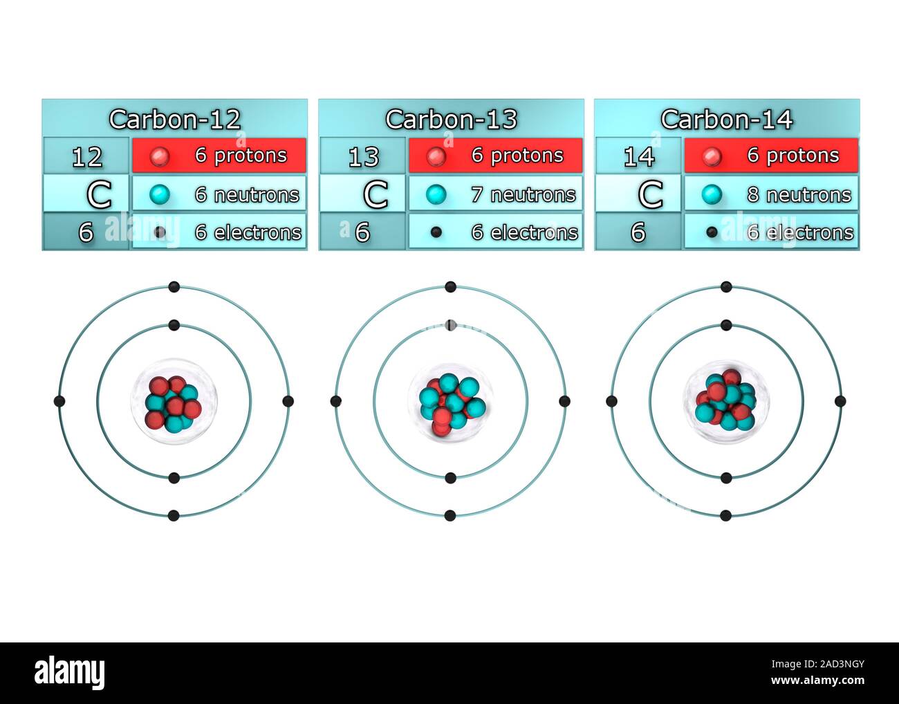 Isotopes of carbon. Illustration showing three isotopes of carbon ...